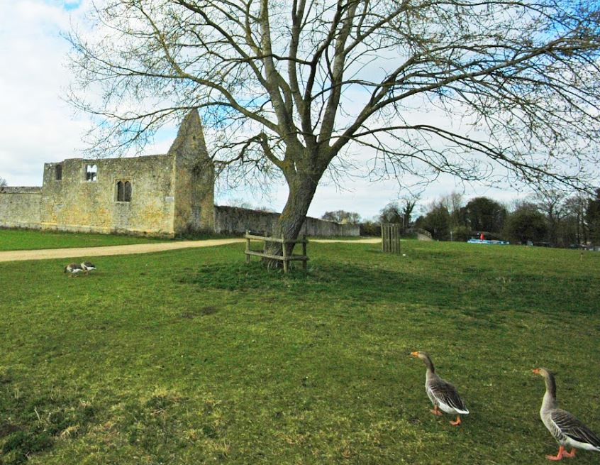 Historical Oxford Buildings: Godstow Abbey Ruins (Northwest)