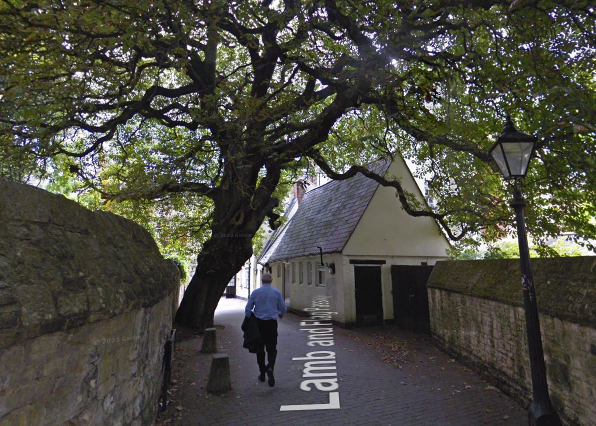 Oxford Trees: Lamb and Flag Tree